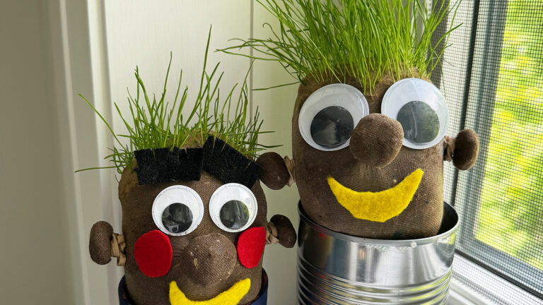 Grass Seed Head: Easy Garden Craft for Kids - Happy Toddler Playtime