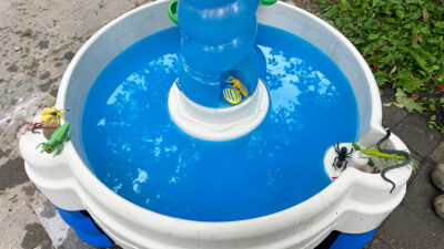 Mystery Water Table - Happy Toddler Playtime