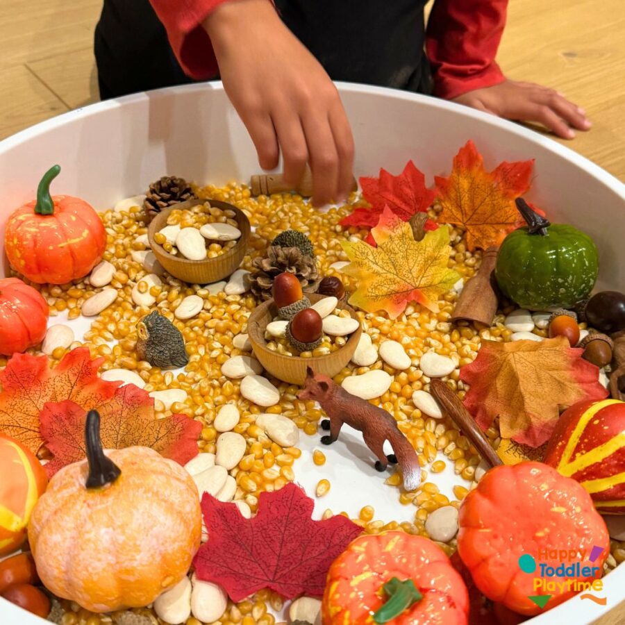 Thanksgiving Sensory Bin - Happy Toddler Playtime