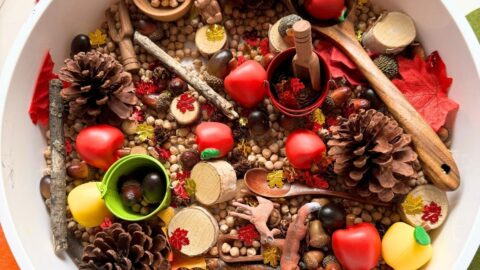 Easy Fall Sensory Bin for Preschoolers - Happy Toddler Playtime