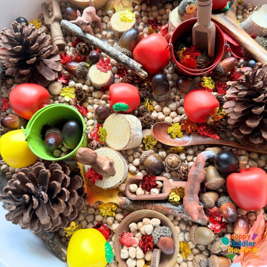 Easy Fall Sensory Bin for Preschoolers - Happy Toddler Playtime