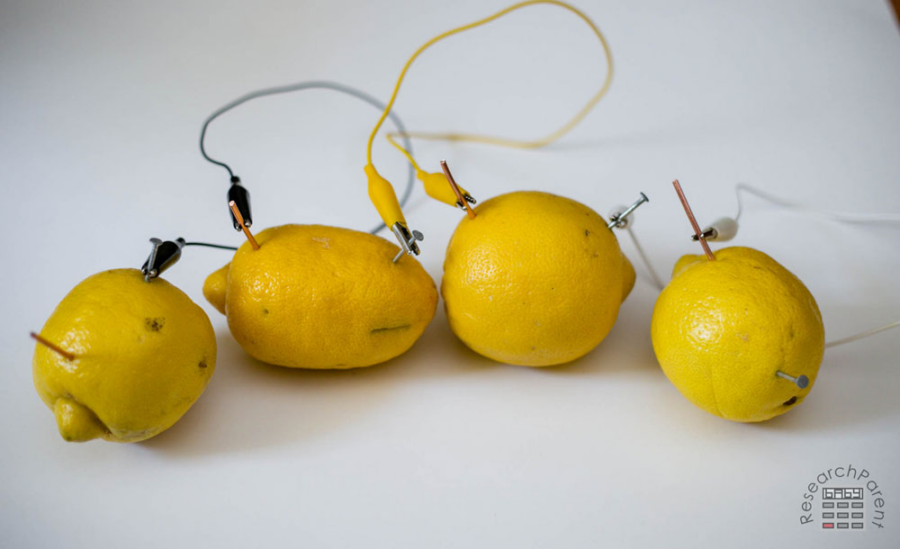 Fun and Easy Lemon Crafts & Activities for Kids - Happy Toddler Playtime