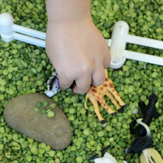 35+ Zoo Animal Activities for Kids That Are Easy, Fun, and Wildly ...