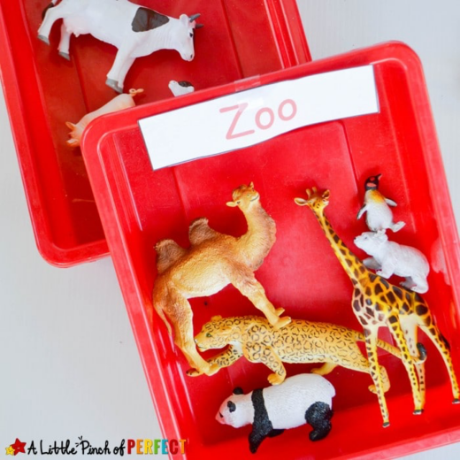 35+ Zoo Animal Activities for Kids That Are Easy, Fun, and Wildly ...