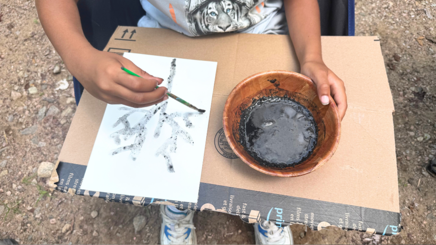 DIY Campfire Paint: A Creative Craft to Try on Your Next Camping Trip ...
