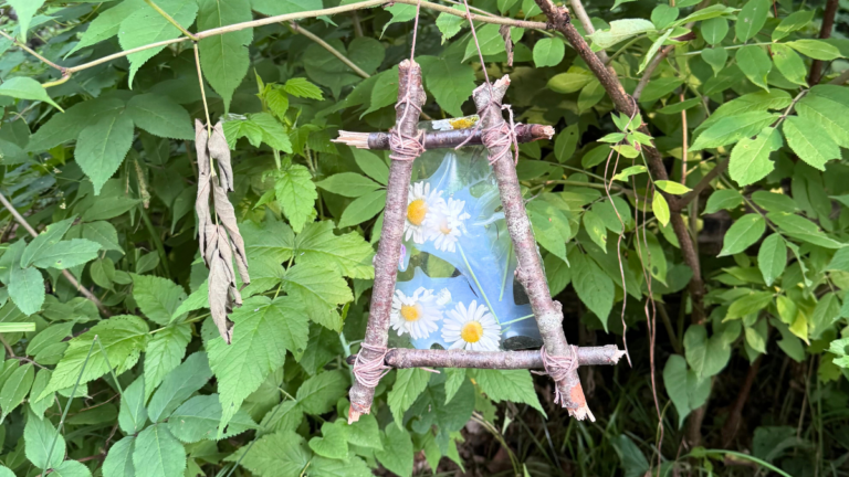 Nature Suncatcher - Happy Toddler Playtime