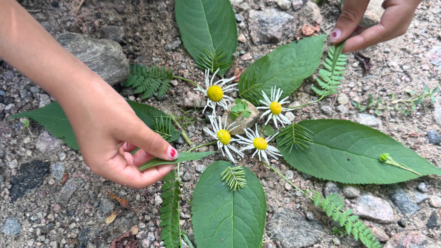 Nature Mandala For Kids - Happy Toddler Playtime
