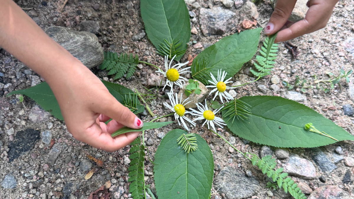 Nature Mandala For Kids - Happy Toddler Playtime